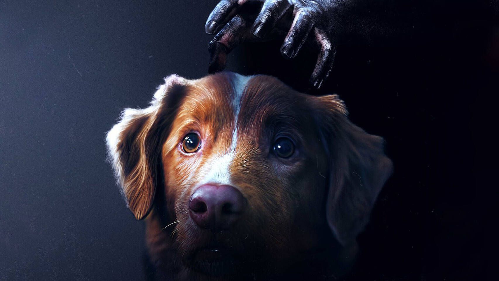 El perro de la película de terror 'Good Boy' hace historia: competirá ...