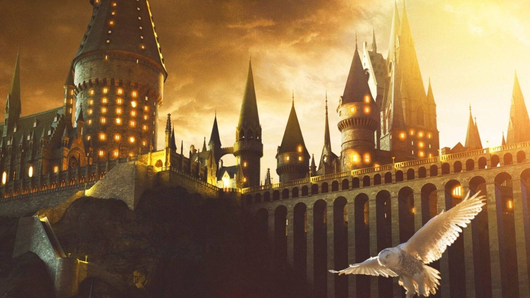 Warner lo confirma: 'La serie de Harry Potter será el mayor evento de ...
