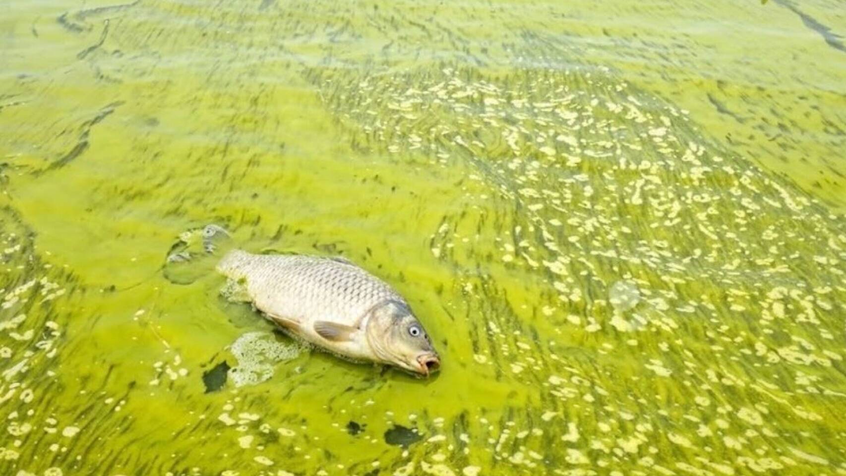 China gasta 41 millones, cierra 60 fábricas y retira millones de ...