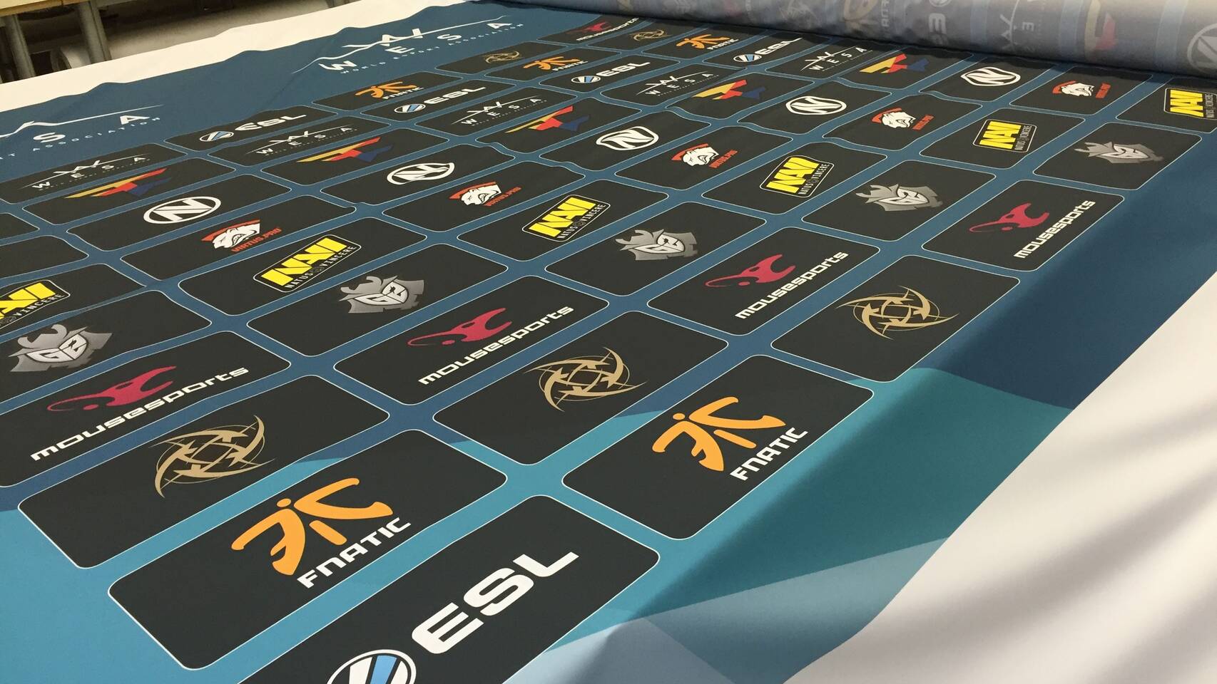 La Organización Mundial de eSports (WESA) confirma su existencia ...