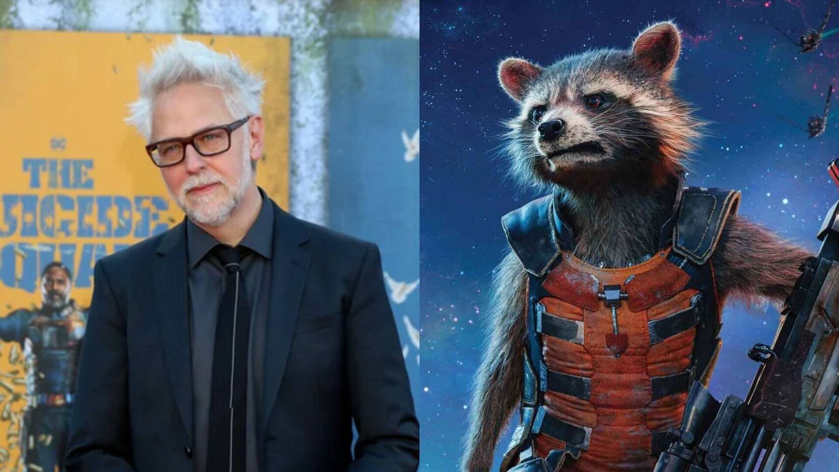 James Gunn comparte fotos del mapache real en el que se basó Rocket ...