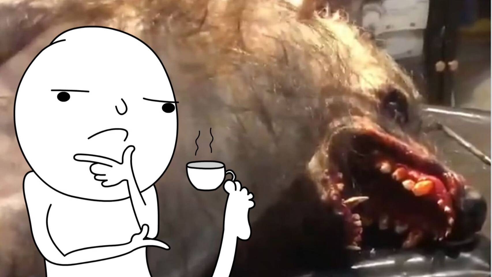 ¿Es este hombre lobo real? Explicamos el vídeo que ha revolucionado las ...