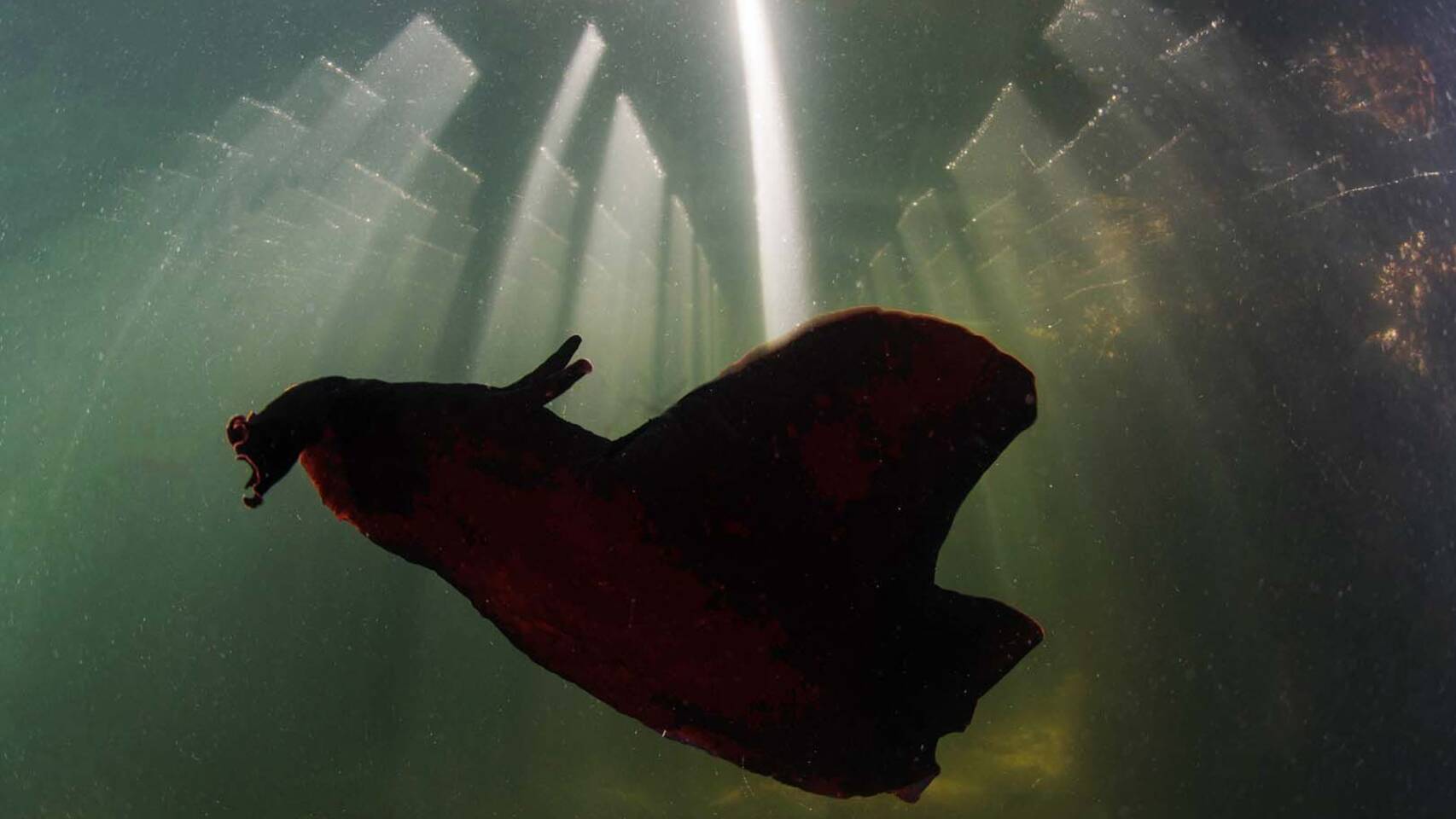 Renee winter pregnant had been waiting for her to be in the