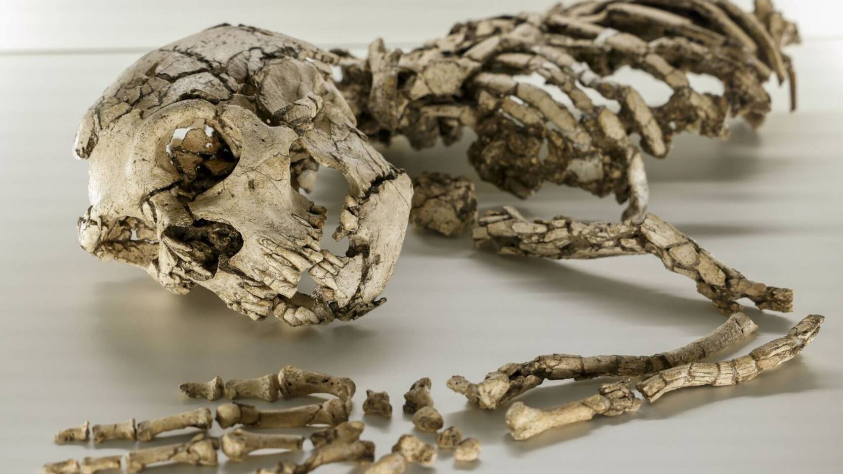 Videos porno en erome she is a small package of happiness,