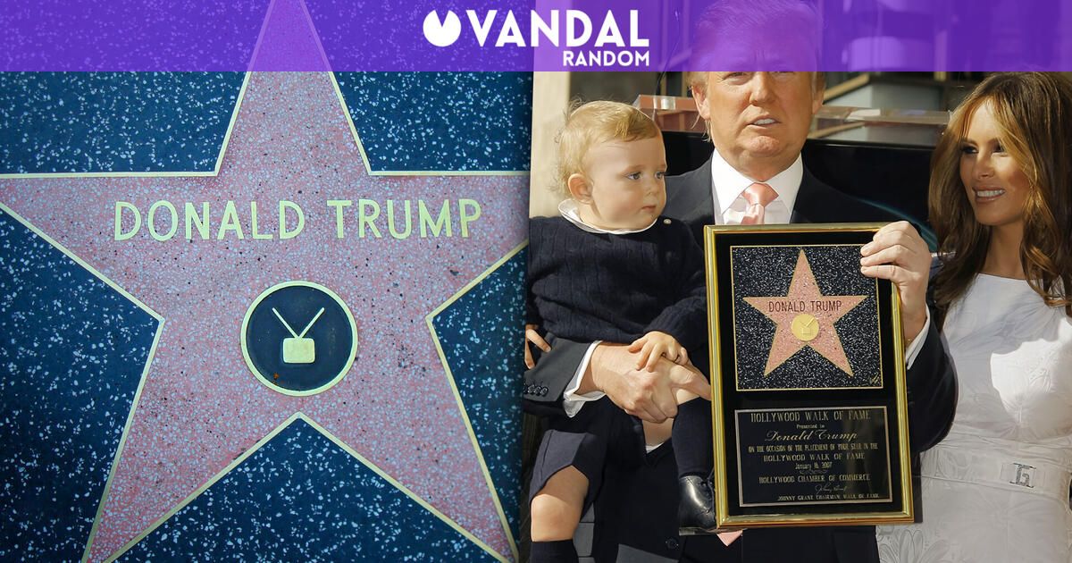 Hollywood ama a Donald Trump: Estas son sus mejores apariciones en ...