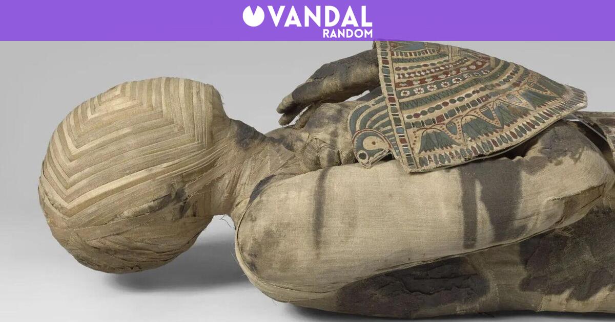 Arqueólogos atónitos hallan una momia egipcia de hace 3.000 años con 30 ...