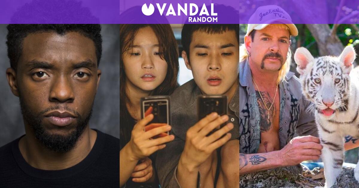 Google 2020: Chadwick Boseman, Cobra Kai, Tiger King o Parásitos entre ...