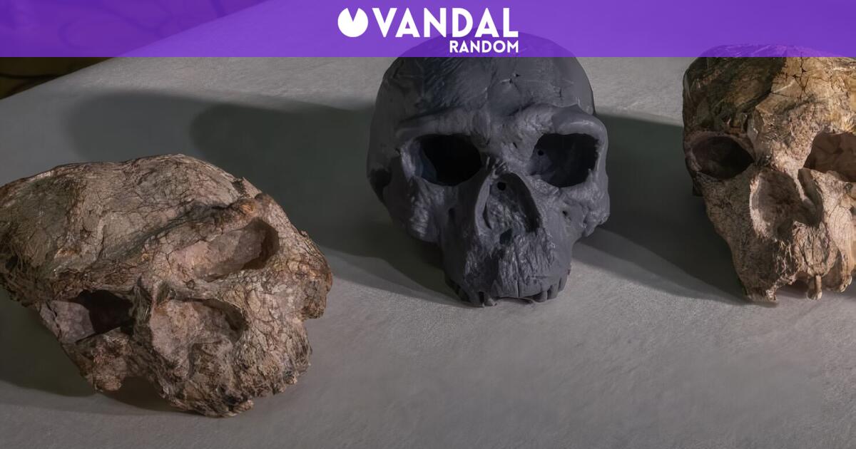 Arqueólogos hallan un fósil de hace 150.000 años de un 'hombre dragón ...
