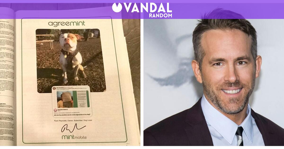Ryan Reynolds compra una página entera de anuncio para un perro ...