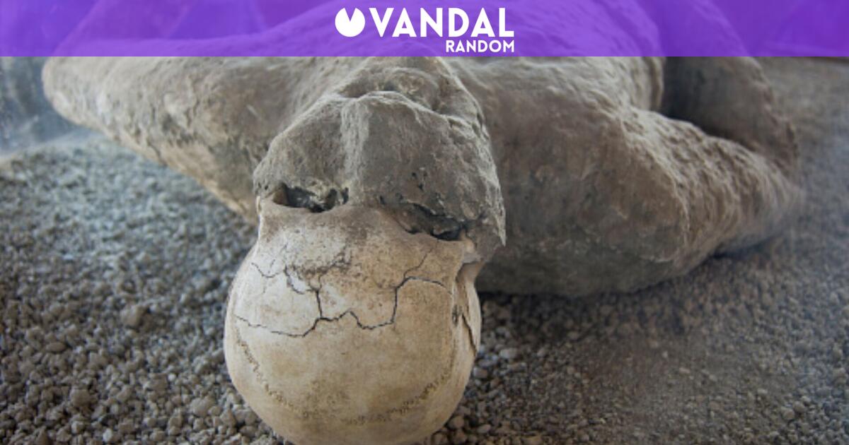 La erupción del Vesubio cristalizó un cerebro humano hace unos 2000 ...