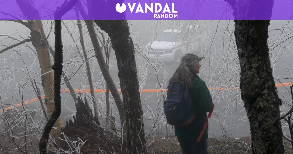 Michael Moore publica Planet of the Humans completo en YouTube - Vandal ...