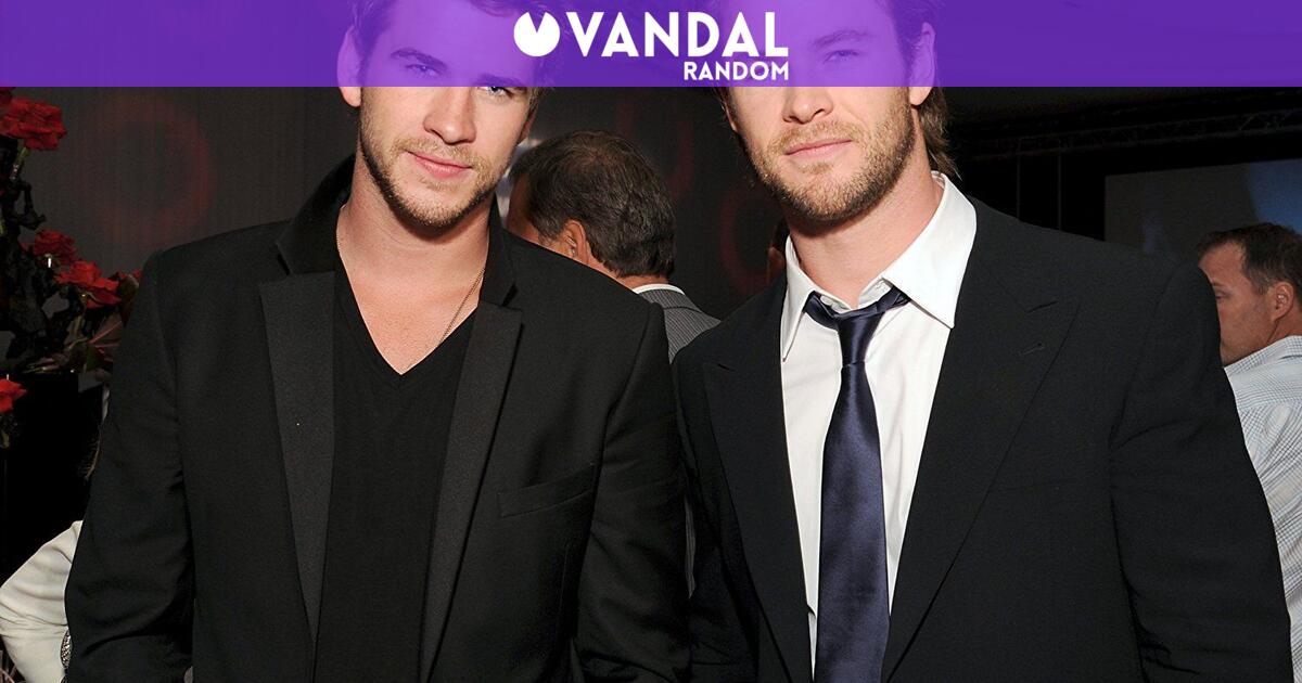 Liam y Chris Hemsworth harán una película juntos - Vandal Random