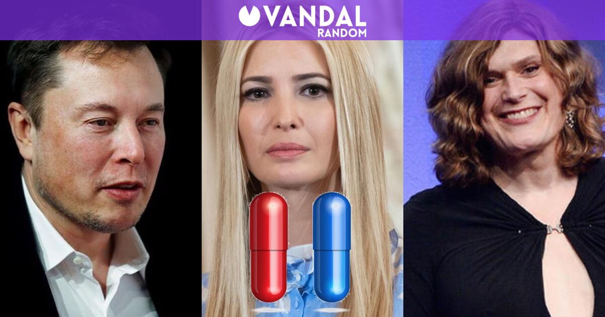 Vivimos en una simulación: Elon Musk, Ivanka Trump y Lilly Wachowski ...