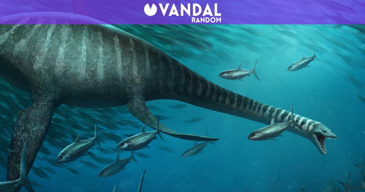 Científicos desentierran un nuevo monstruo marino del Cretácico ...