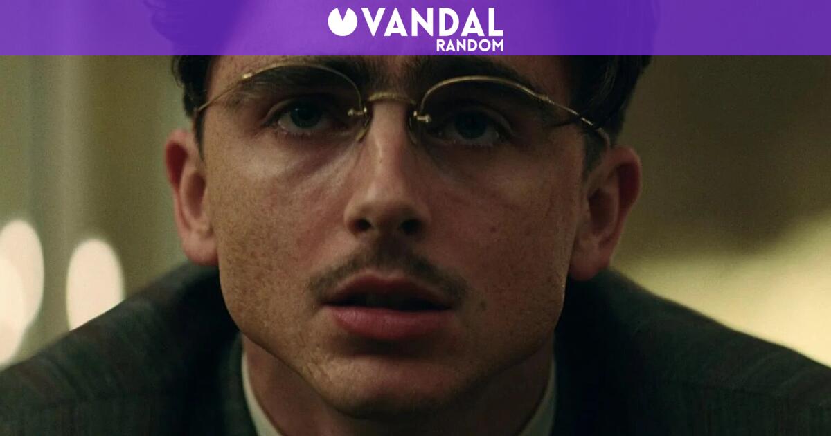Llega a Prime Video la película que hizo perder el Óscar a Timothée ...