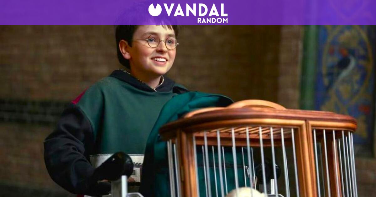 HBO renueva oficialmente la serie de 'Harry Potter' y mantiene su plan ...