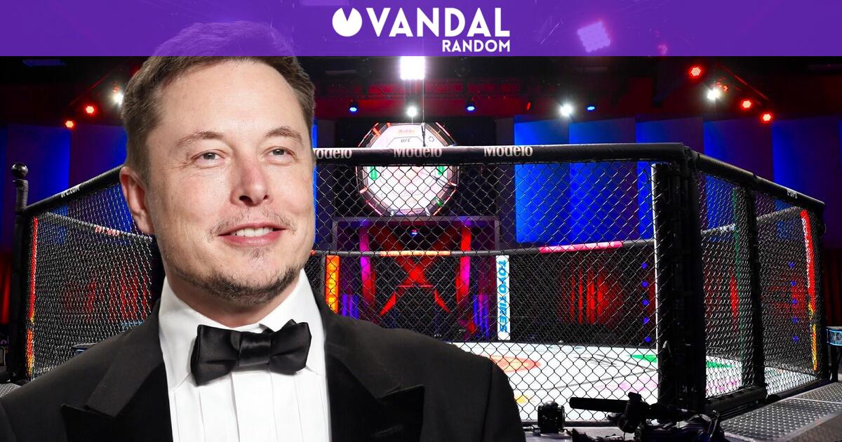 Elon Musk se prepara y entrena para su combate MMA contra Mark ...