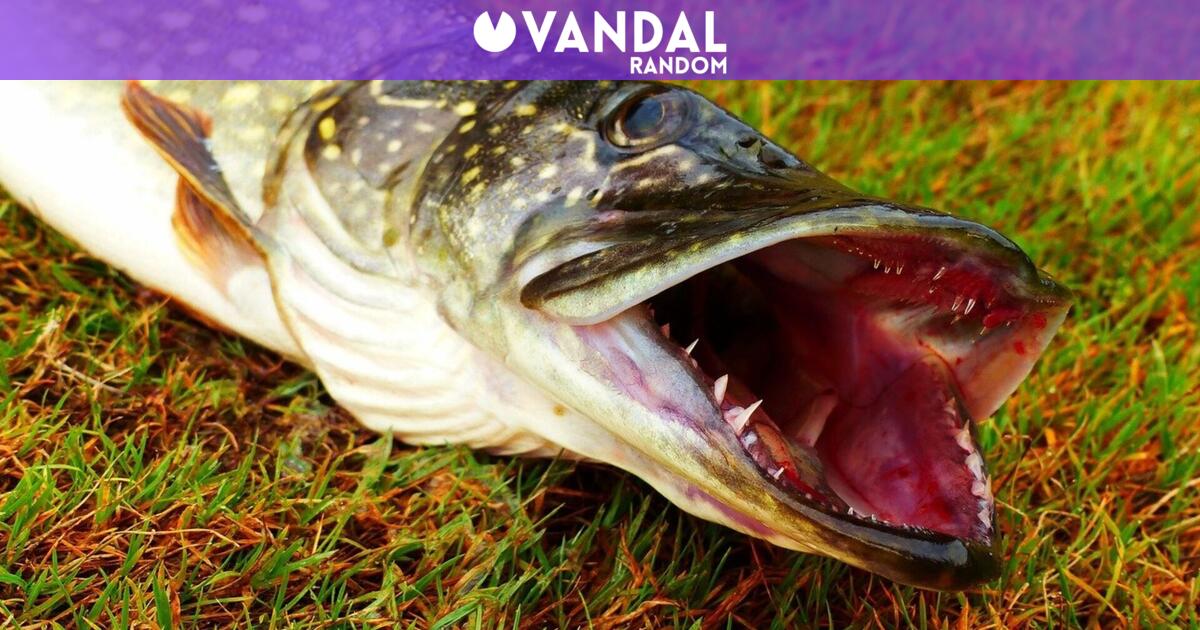 Nayakhour_yسكس once about half an hour of betting we moved