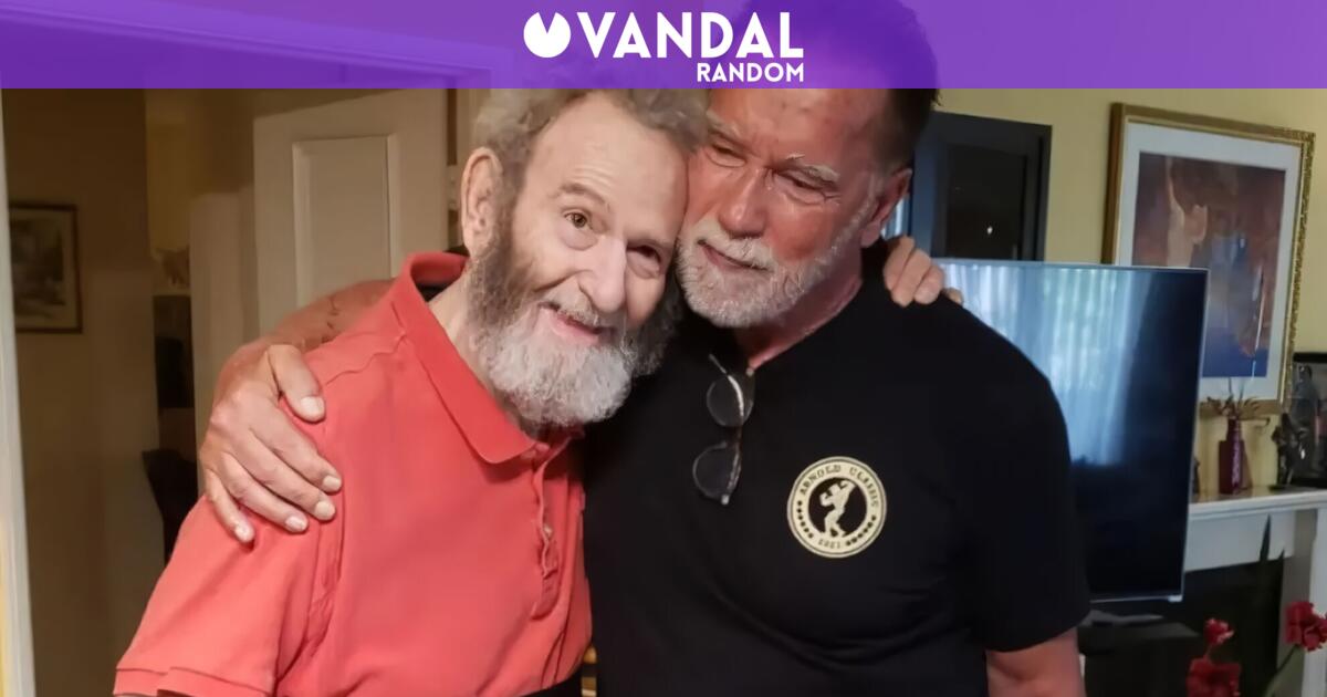 Schwarzenegger rescata una frase de la cancelada King Conan para animar ...