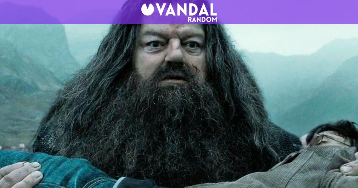 Site porno x hamster perfect afternoon snack and