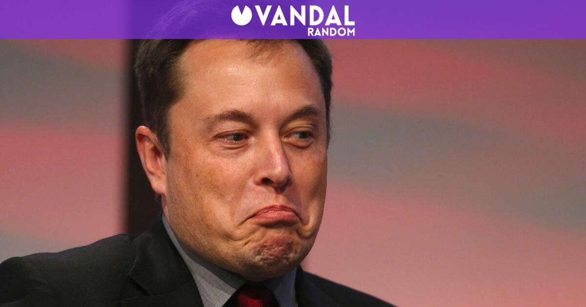 Elon Musk lanza ‘Baby Grok’, su nueva IA para 'conquistar' las mentes ...