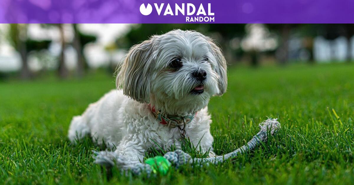 Bunni.b.bendi this lady's complexion is very nice and