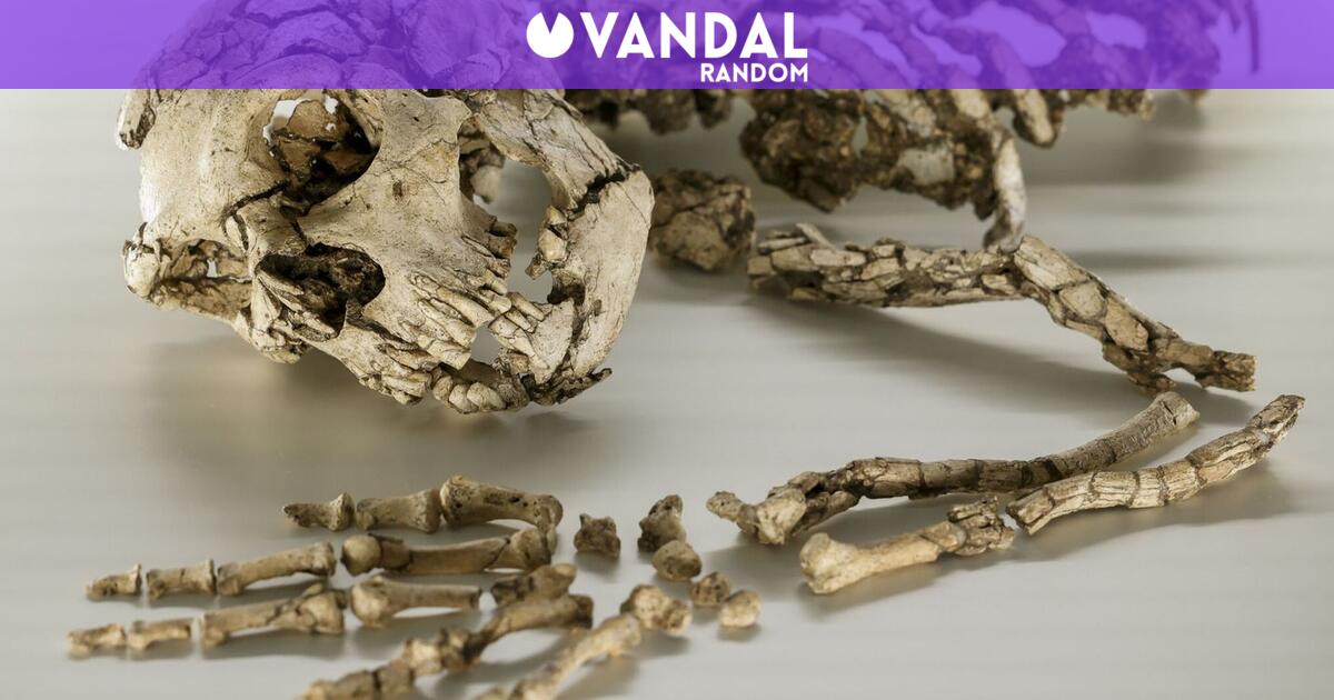 Videos porno en erome she is a small package of happiness,