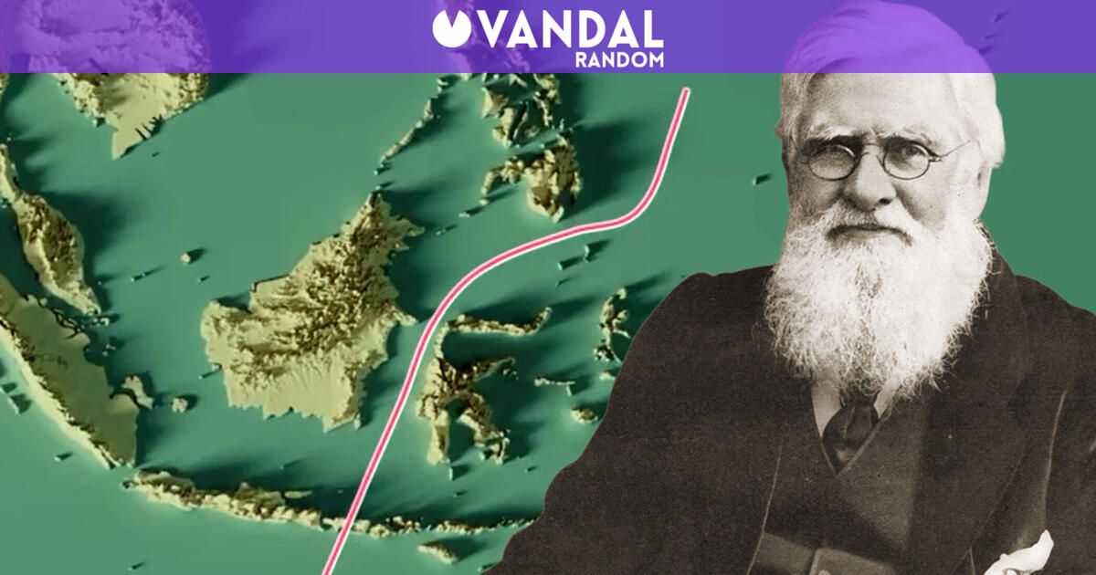 Linea de Wallace: la frontera invisible que ninguna especie animal es ...