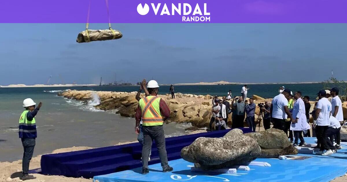 Pornos jovencitas non VIPs, might recommend unless if you