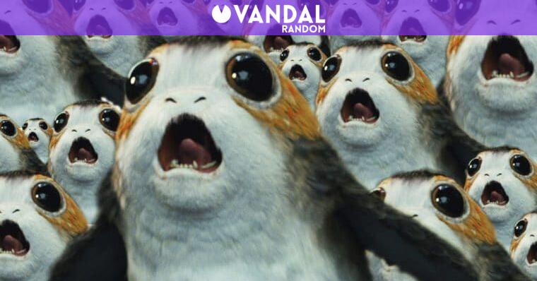 'Star Wars': PETA felicita a 'Los Últimos Jedi' con sus 'Oscats Awards ...