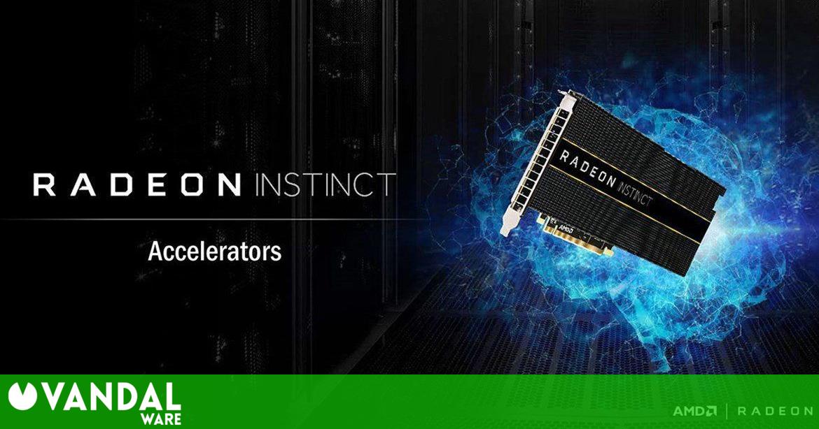 AMD anuncia las especificaciones la nueva Radeon Instinct MI25 - Vandal ...