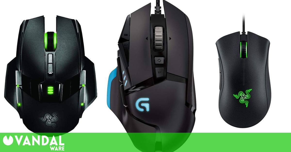 Descubre los diferentes tipos de ratones que podemos encontrar en el ...